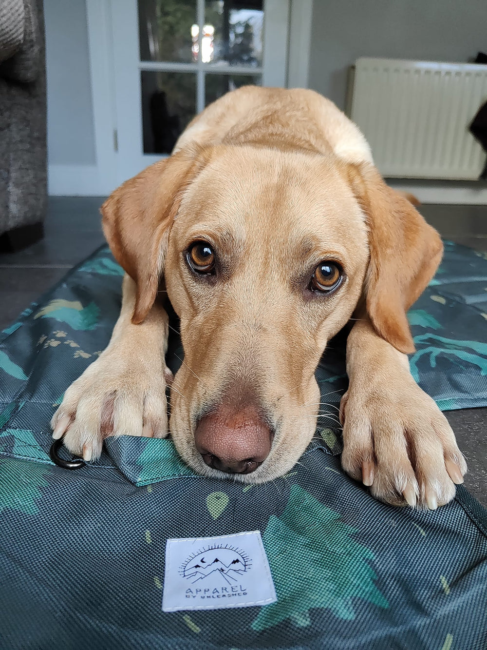 Waterproof dog accessories, biothane collars, long leads and more ...